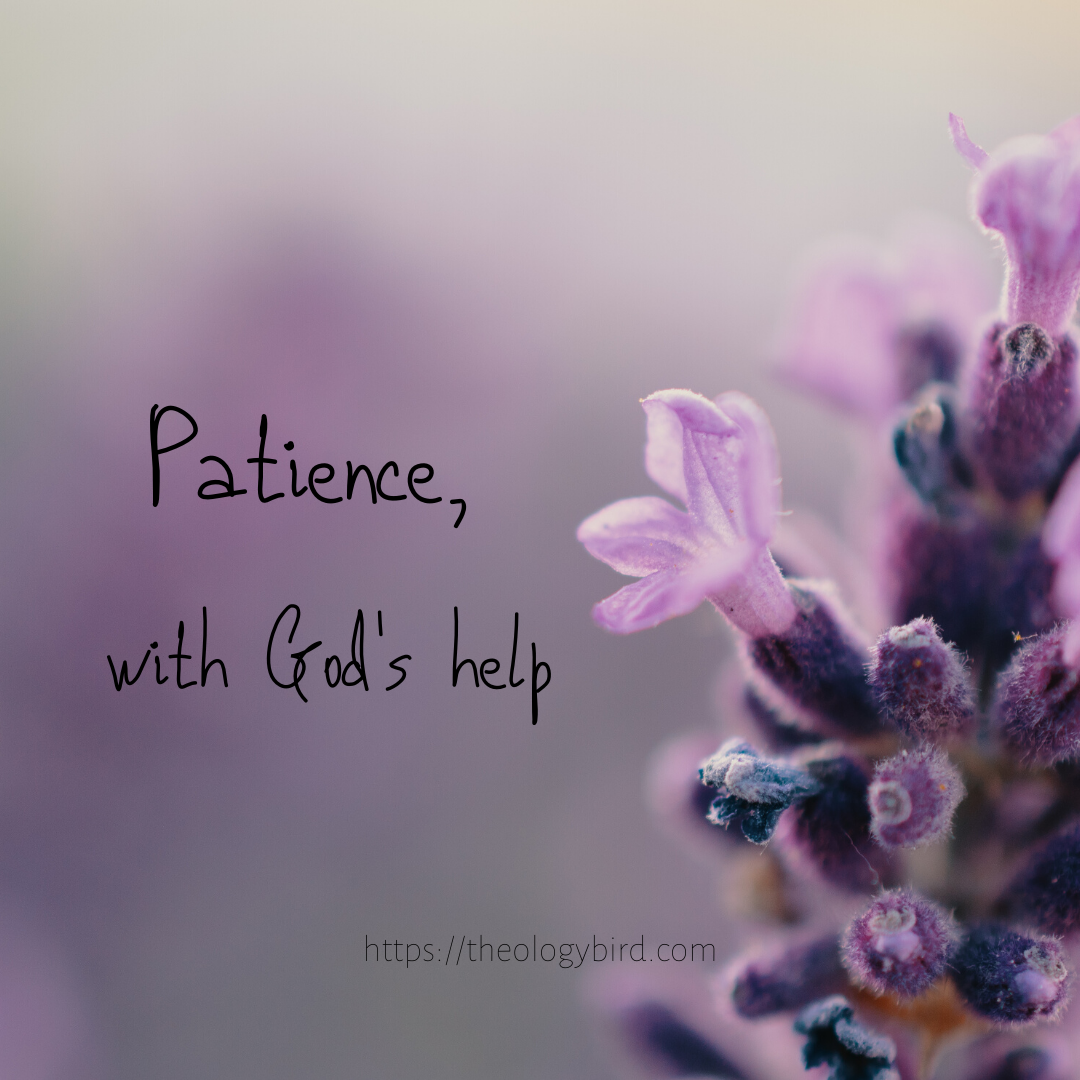 Patience, Advent 2019 – Theologybird Writes