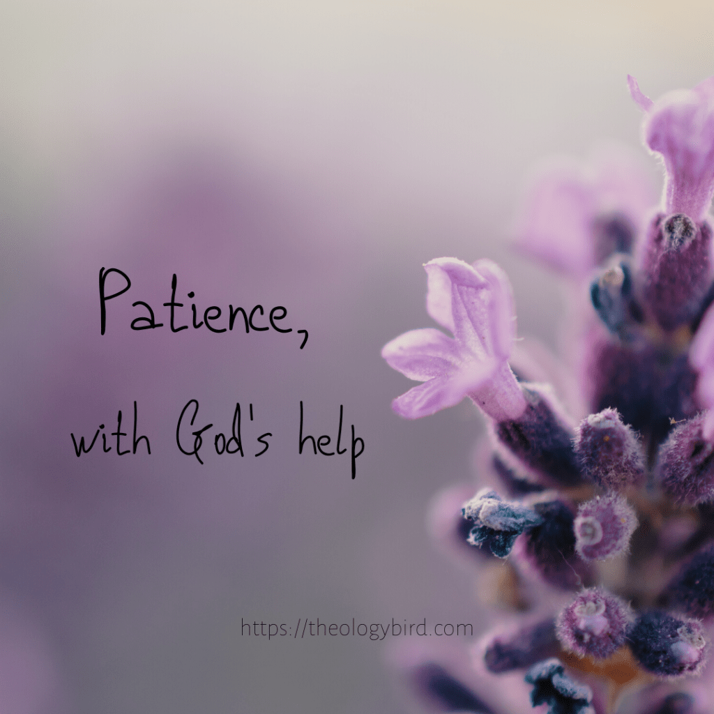 Patience, Advent 2019 – Theologybird Writes